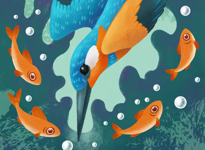 Birds in folklore: the kingfisher – Leonora Camusso